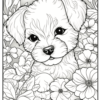Pawsome Adventures: A Dog Coloring Book for Kids - Coloring eBooks